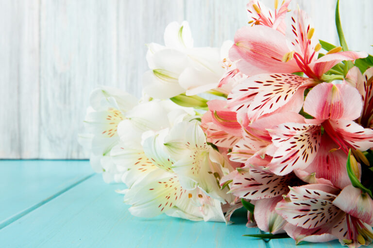 Nom de fleurs avec photos
